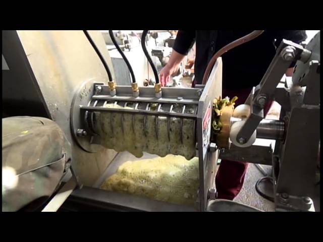 Seaweed Pressing | Vincent Corp